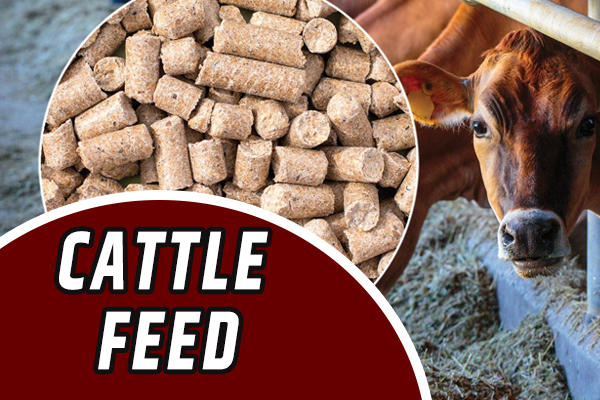 Udyami's Online Learning Platform | Best Industrial Courses with ...